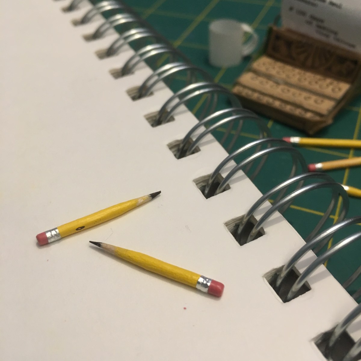 Sarah Lynne Reul Picks Up a Pencil – WRITERS' RUMPUS