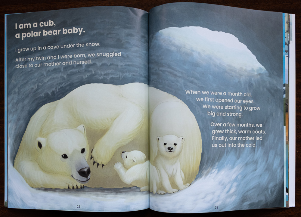 This Is How I Grow: Wesley Davies, Versatile Illustrator – WRITERS' RUMPUS