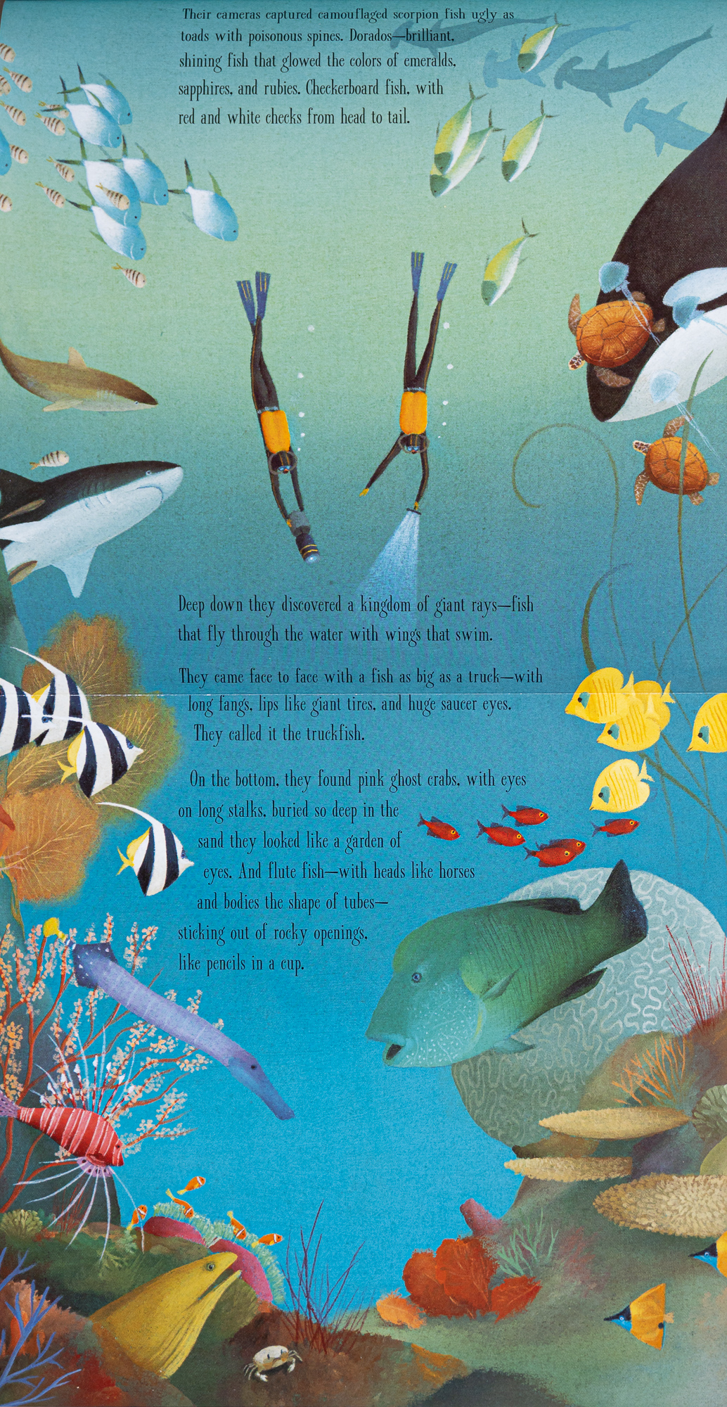 Manfish and the Sea by Jennifer Berne – WRITERS' RUMPUS