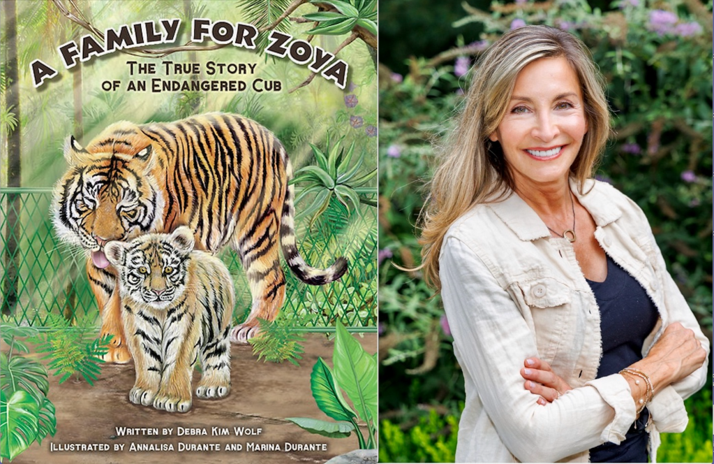 Celebrating World Tiger Day! Interview with Debra Kim Wolf, author of A FAMILY FOR ZOYA: The ...