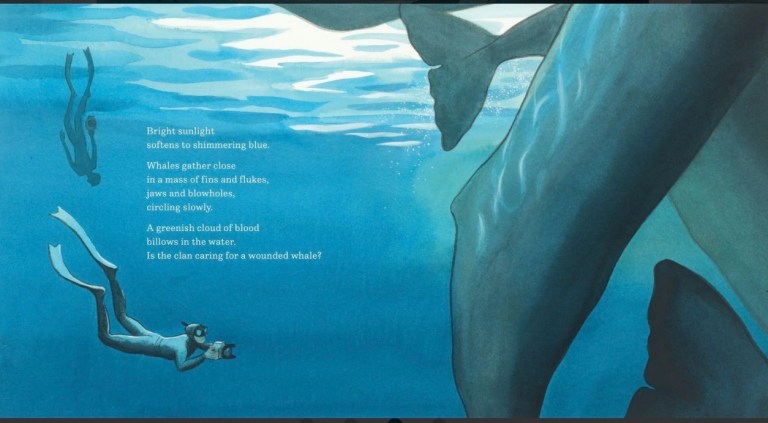 Picture Book Review: In The World of Whales – WRITERS' RUMPUS